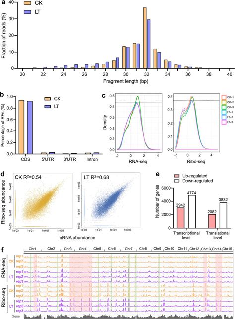 Characteristics Of Rna Seq And Ribo Seq Data In Tea Plant Leaves Under