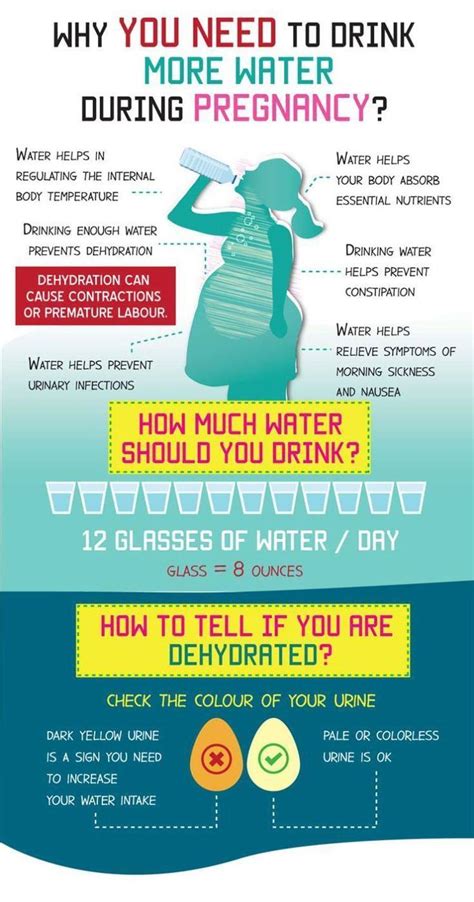How Much Water To Drink During Pregnancy Artofit