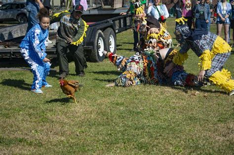 Traditional Chicken Chase At Courir De Mardi Gras Editorial Photo