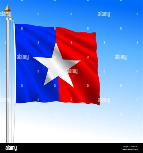Usa Elections Waving Flag Star Symbol United States Of America Vector