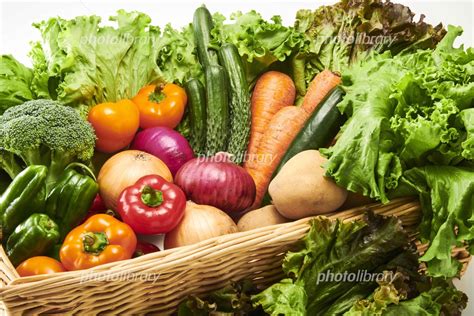 新鮮で美味しい生野菜 写真素材 5749148 フォトライブラリー Photolibrary