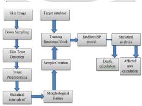 Figure 1 From Android Application Based Melanoma Detection System Semantic Scholar