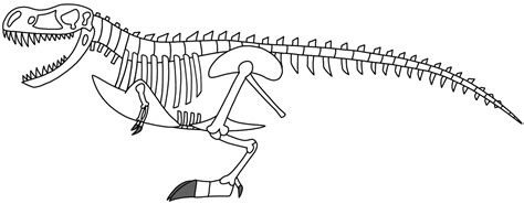 Tyrannosaurus Skeleton By Ptscreatureverse On Deviantart