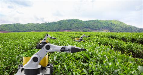 Role Of Robotics In Agriculture In Farming In 2025