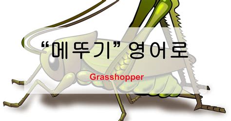 수정 영어로 어떻게 말할까 상황별 완벽 정리 English