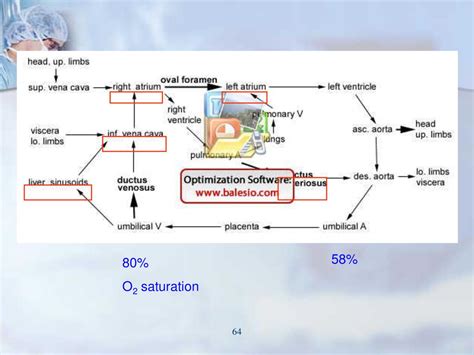 Notice Saturday Morning And Afternoon Theory Lesson Ppt Download