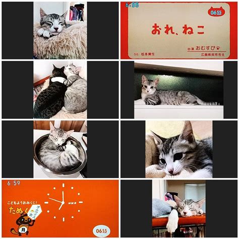 今日見たTV2022年12月5日 月 1年8ヶ月ぶりと2年9ヶ月前と1ヶ月ぶり club AR Eテレ おかいつファンターネ の日々