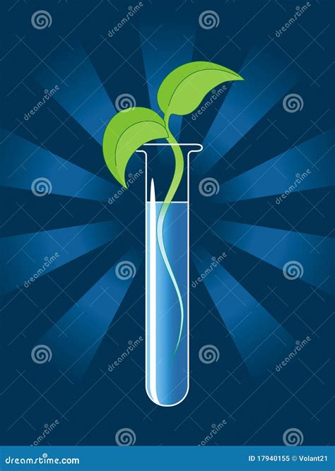 Groene Spruit Van De Reageerbuis Vector Illustratie Illustration Of