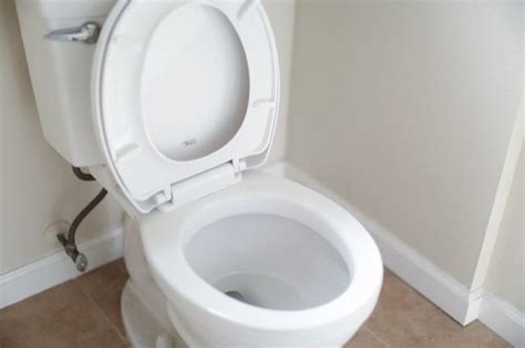 How To Replace A Toilet Yes You Can DIY Pro Tool Reviews