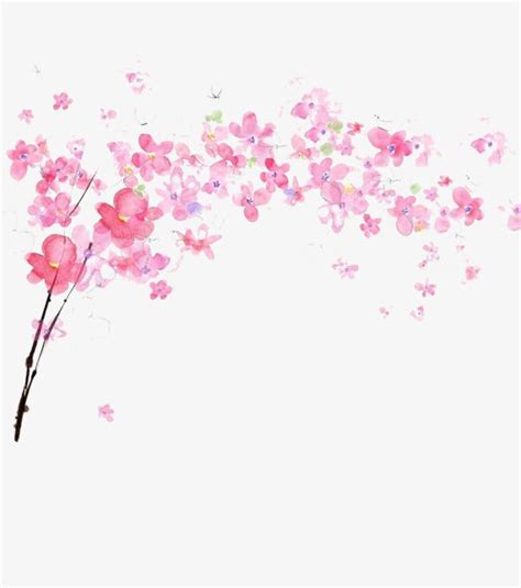 꽃 꽃 핑크 꽃 일러스트 Png 흩날리는 꽃 이미지 소재 이미지 벡터 Psd 파일 Pngtree 꽃 꽃그림 식물