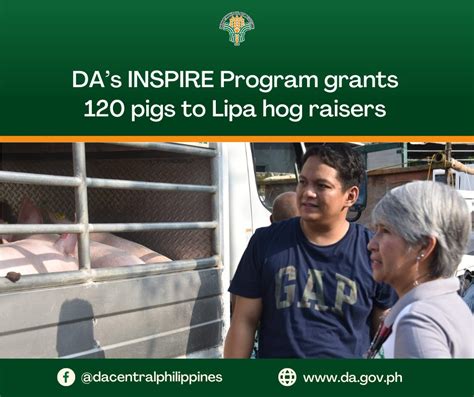 INSPIRE Program Ng DA Namigay Ng 120 Baboy Sa Lipa Hog Raisers Sa