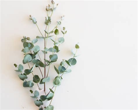 5 Warning Signs You Have Poor Gut Health San Francisco Integrative