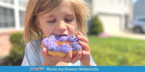 Mochi Joy Donuts First Of Its Kind Donut Shop In Noblesville