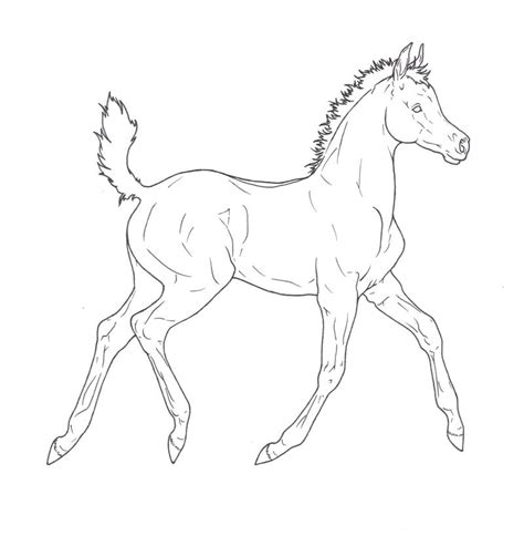 Arabian Foal Lineart By Requay On Deviantart