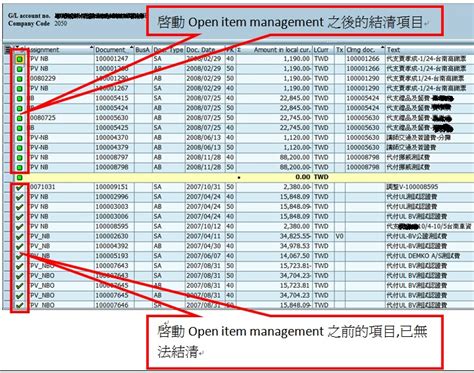 Sap Relevant Activate Open Item Management