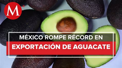 Cce Celebra Récord De Exportación De Aguacate Para Super Bowl Youtube