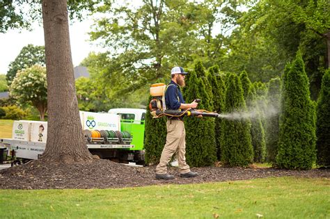 Lawn Mosquito Control In Greenville SC Grass Nerds