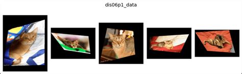 Randomperspective In Pytorch Python Tutorial Php Cn