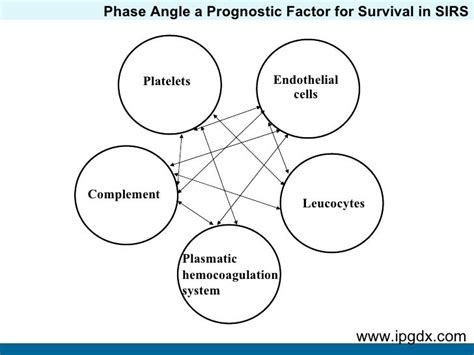 Systemic Inflammatory Response Syndrome Sirs Prognosis