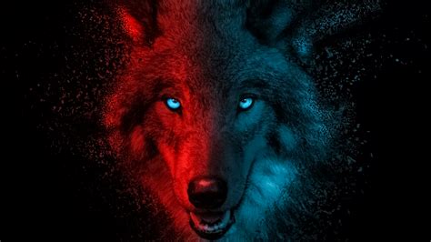 Wolf Pictures Wallpapers