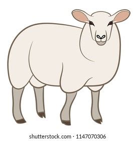 Sheep Isolated On White Hand Drawn Stock Vector Royalty Free Shutterstock