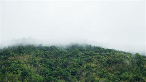 Cloun Bilder Stock Fotos And Videos Adobe Stock