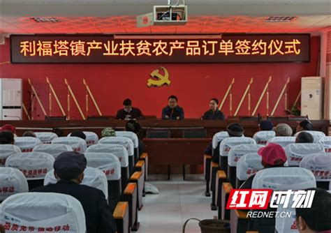桑植县利福塔镇41名贫困户签定农产品订单新浪湖南新浪网