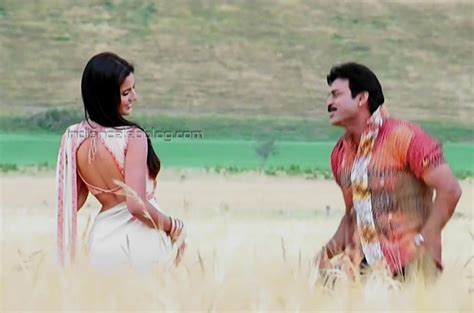Katrina Kaif Telugu Movie Malliswari 19 Hot Saree Hd Stills