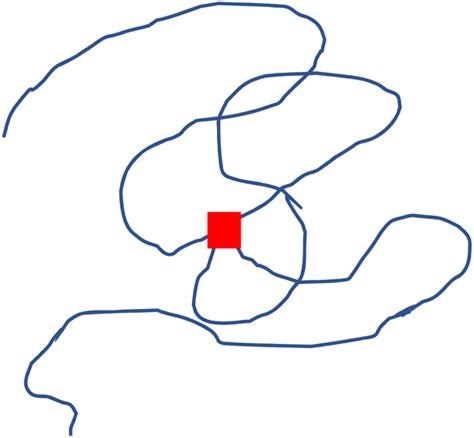 When Does A Macromolecule Transition From A Polymer Chain To A