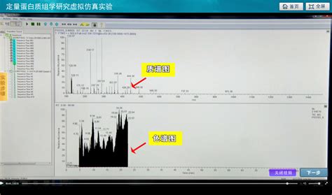 实验详情
