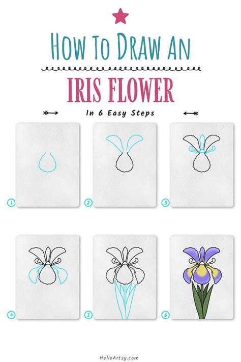 How To Draw An Iris Flower Iris Flowers Iris Drawing Easy Flower