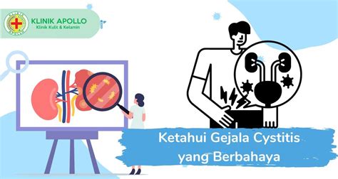 Ketahui Gejala Cystitis Yang Berbahaya Klinik Apollo