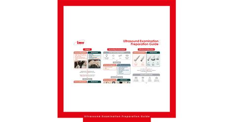 Ultrasound Examination Preparation Guide Imv Imaging