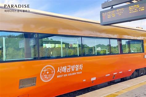 낭만 가득한 가을 국내 기차 여행 추천 동해산타열차 서해금빛열차 백두대간 협곡열차 정선아리랑열차 바다열차