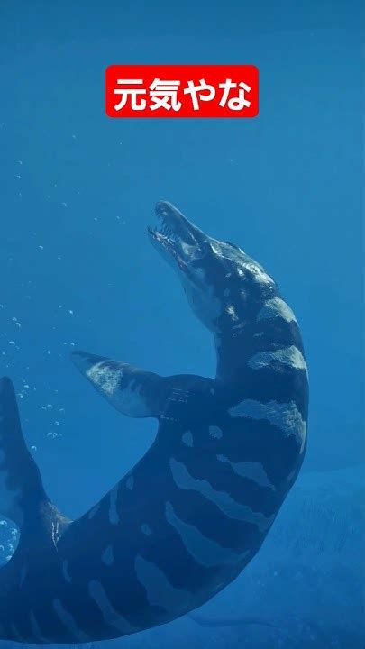 クロノサウルスが怒ってて可愛かったkronosaurus Was Cute When He Was Angry Youtube