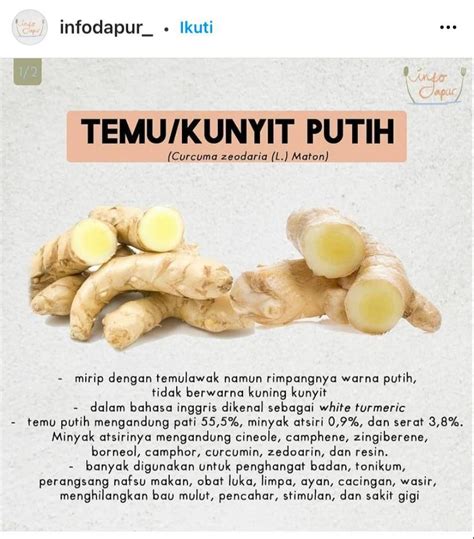 Ciri Dan Fungsi Daun Kunyit Dan Morgan
