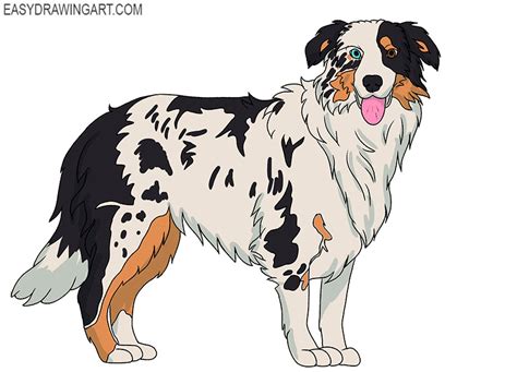 How To Draw A Shepherd Step By Step