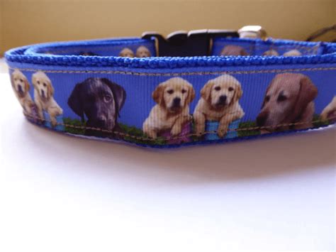 Labrador Pattern Collars By Chris