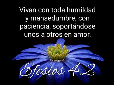 Efesios 4 2 Vivan Con Humildad Y Mansedumbre G Y V