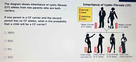 Solved The Diagram Shows Inheritance Of Cystic Fibrosis Inheritance Of