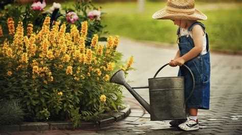 99 Insanely Fun Things To Do Outside That Are Cheap And Easy 4