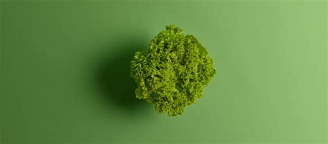 Best Plant Based Protein Healthassure