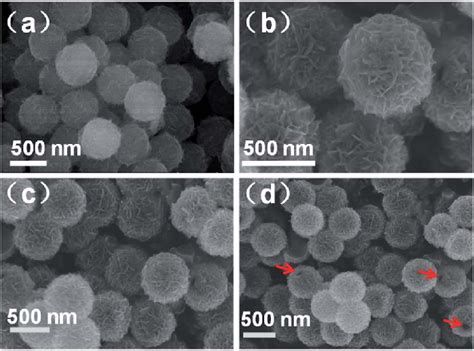 SEM Images Of A The Intermediate SPS Mo PDA And B D End Product Download Scientific Diagram