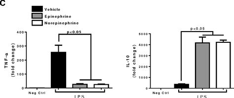 Figure 1 From Catecholamines Induce A Regulatory Macrophage Phenotype And Confer Protection