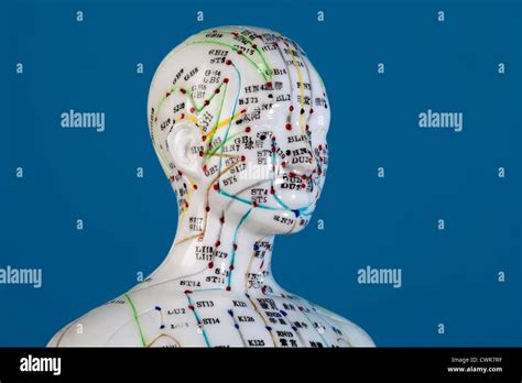 Acupuncture Points Face