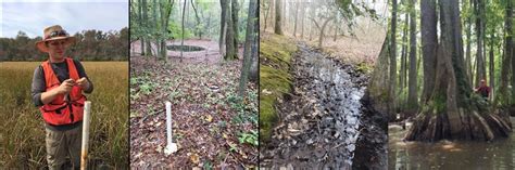 Ecological Engineering Upstream Processes And Downstream Function