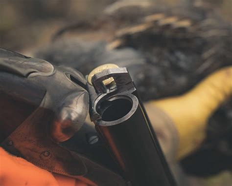 Shotgun Ejectors And Extractor Upland Gun Company