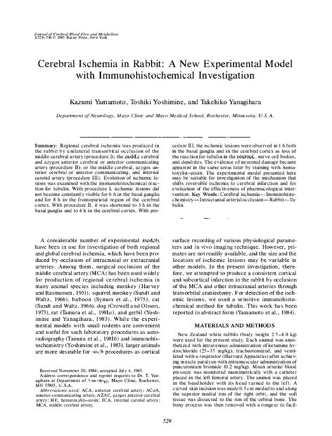 Pdf Cerebral Ischemia In Rabbit A New Experimental Model With
