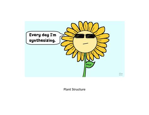 Week 5 Videos Slides This Is A Clear Explanation Of Evolution Plant