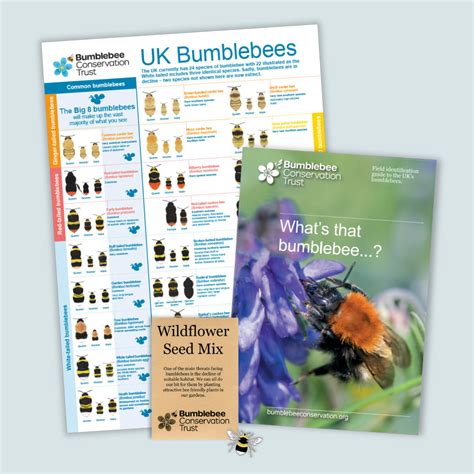 Bumblebee Conservation Trust Shop